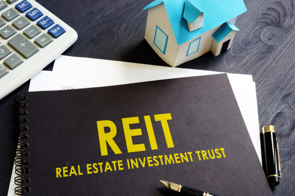 Guide To REITs REIT Tax Advantages More